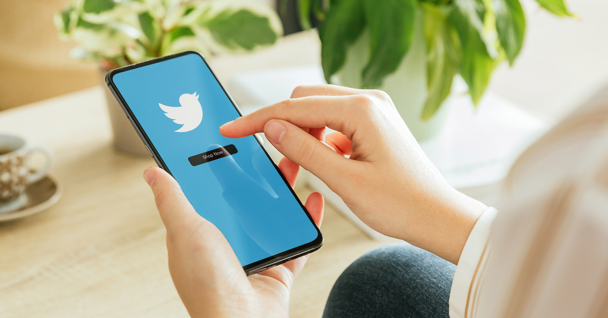 Twitter to Roll Out New Controls for Ad Placements
