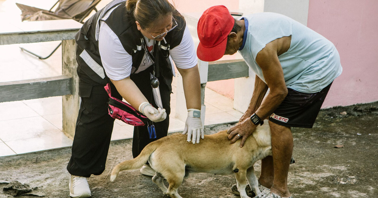 Boehringer Ingelheim’s ‘Stop Rabies’ Program Targets a Rabies-Free ...